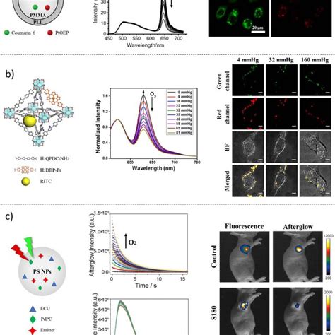 Examples Of Biomarker Sensing Nano Platforms A Left Schematic