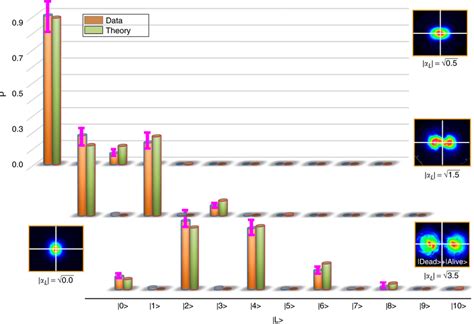 Spatial Mode And Intensity Distributions Of The Analogous Cat State Download Scientific