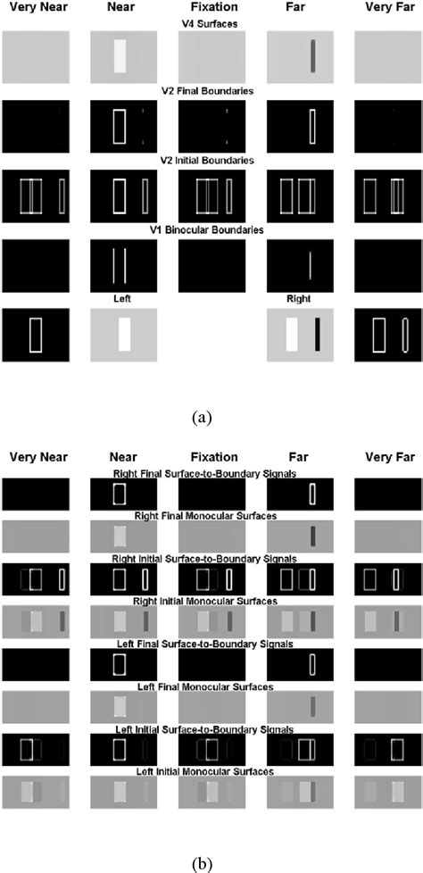 Figure 25 From A Laminar Cortical Model Of Stereopsis And 3d Surface