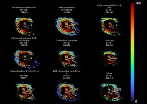Mzkit Data Toolkits For Processing Nmr Maldi Msi Maldi Single Cell