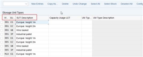 Sap Wm Storage Bin Type Search Sap Training And Coaching