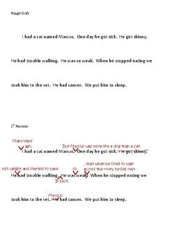 Writing Examples For Revising And Editing By Teacher S Apple Basket