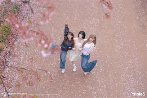 Chaewon — 260418 Triples Blog Update Cherry Blossom Photo Snap Bts