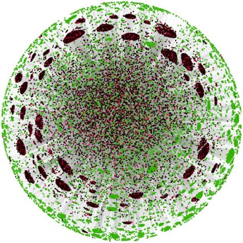 project organization network green nodes organizations red