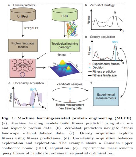 Advancements And Future Directions In Machine Learning Assisted Protein Engineering Marktechpost