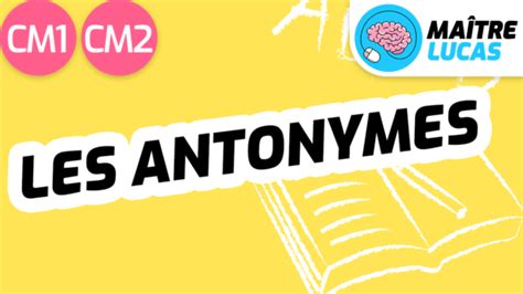 Exercices Laccord Dans Le Groupe Nominal Maître Lucas