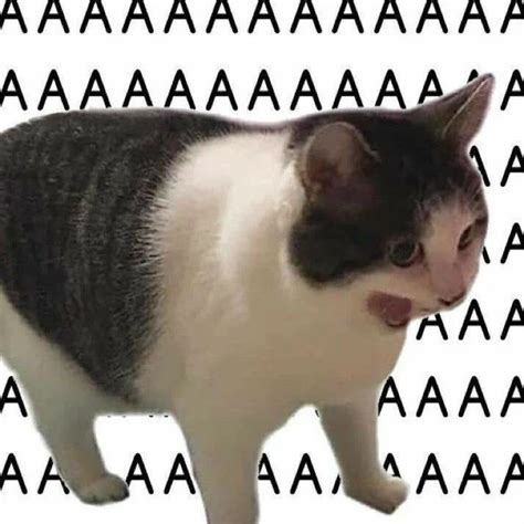 랑라리 On Twitter 배드띵킹 다이어리 36화 업로드 됐습니다 Dajtu7ghap Cev7hgndrz Twitter