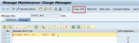place holders in message long text sapcodes