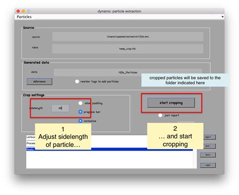 Filetemplatematchingdtcroppng Dynamo