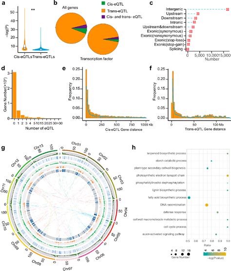 Figure 1 From Integration Of Eqtl Analysis And Gwas Highlights