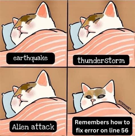 Sivamurugan S On Linkedin Developerlife Programmingmemes