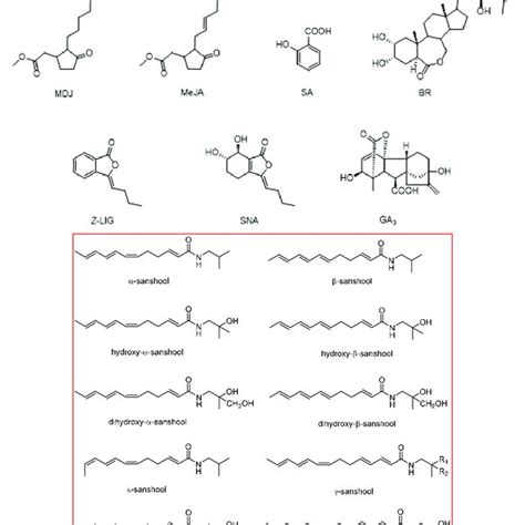 Chemical Structures Of Reported Natural Safeners Sanshools Echinacea