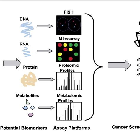 Examples Of Biomarkers In Cancer Research Download Table