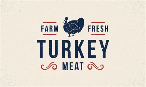 터키 새 고기 로고 포스터 정육점 고기 가게 레스토랑을위한 농장 신선한 칠면조 고기 빈티지 포스터 벡터 일러스트레이션 가금류에 대한 스톡 벡터 아트 및 기타 이미지 Istock