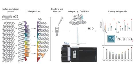 Multiplex Up To 35 Samples With Tmtpro™ 32plex And Tmtpro™ Deuterated