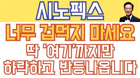 시노펙스 주가전망 너무 겁먹지 마세요 딱 여기까지만 하락하고 반등나옵니다 Youtube