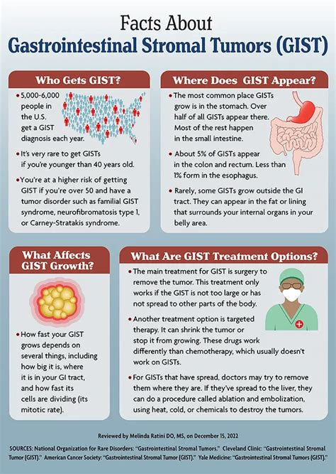Gastrointestinal Stromal Tumors Gist The Facts