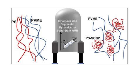 Structures And Segmental Dynamics In Single Chain Polymer Nanoparticles Based All Polymer
