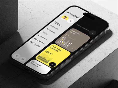Salesforce Market Segmentation App By Mari S For Rondesignlab ⭐️ On