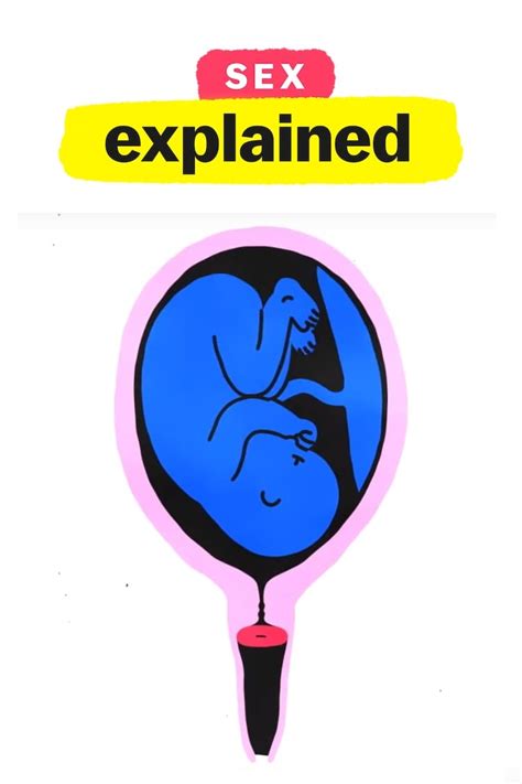 Sex Explained TV Series Posters The Movie Database TMDB