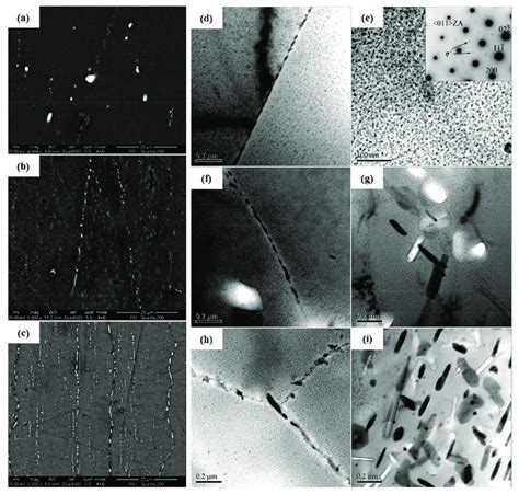 Sem Images Showing Grain And Sub Grain Boundary Precipitates In 7050 T6