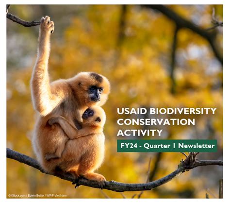 Usaid Biodiversity Conservation Newsletter Q1 Fy24 Wwf
