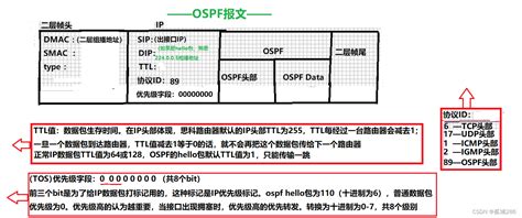 ospf —— ospf协议分析（ospf报文详解） ospf报文目的地址 csdn博客