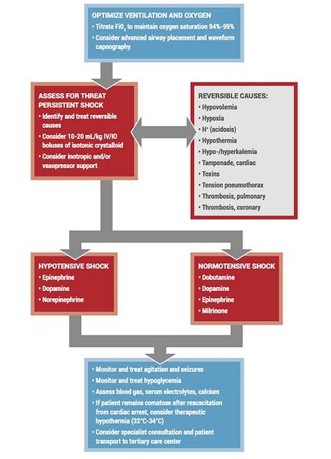Pals Drugs Pharmacology Algorithms To Study