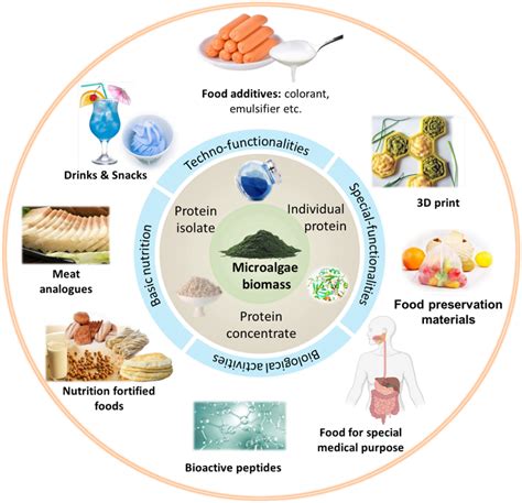 Schematic Of Microalgae Protein Potential Applications In Foods