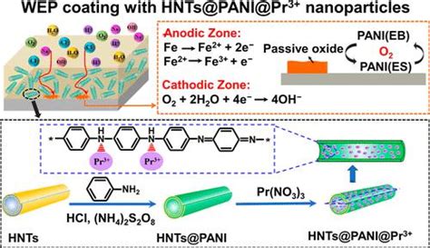 负载镨 Iii 阳离子的埃洛石 聚苯胺纳米粒子可改善水性环氧涂料的活性腐蚀防护 Acs Applied Materials And Interfaces X Mol