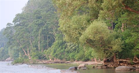 Lookin Up Bits And Pieces