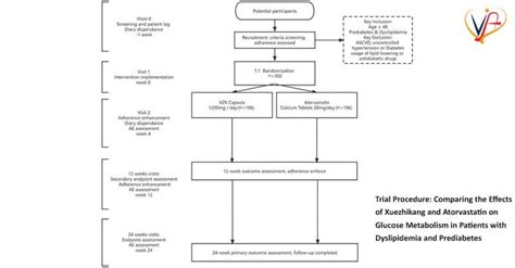 A 24 Week Multi Center Randomized Open Label Clinical Trial Comparing The Effects Of