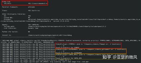 vcpkg 使用能读取视频的 opencv 知乎