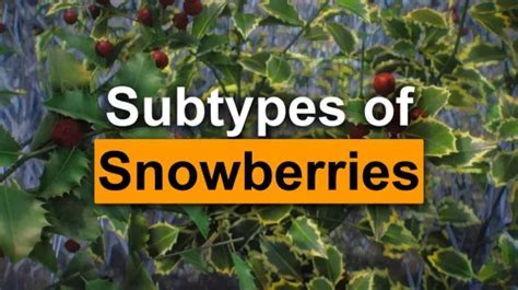 subtypes of snowberries base object swapper モデル・テクスチャ skyrim