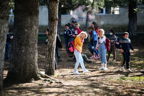 საქართველოს განათლებისა და მეცნიერების სამინისტრო
