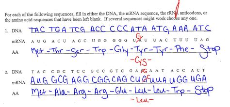 Dna Coloring Transcription And Translation Coloring Pages