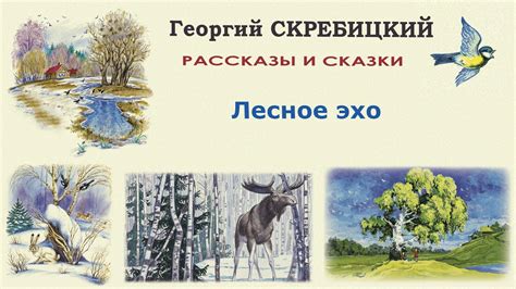 Георгий Скребицкий "Лесное эхо" - Слушать - YouTube