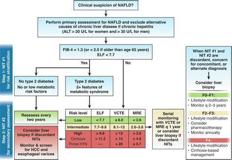Role Of Noninvasive Biomarkers In Nafld Masld American Gastroenterological Association