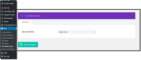 Using The Divi Footer Plugin