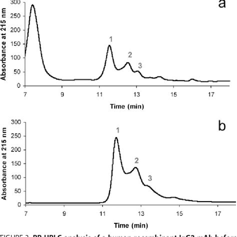 Figure 3 From Human Igg2 Antibodies Display Disulfide Mediated