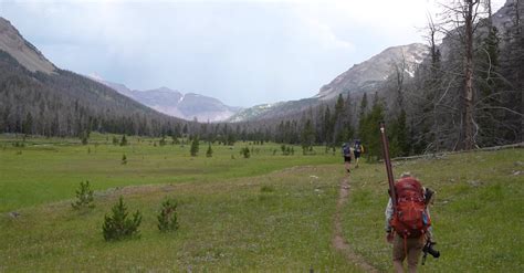 Terrenopúblico Uinta 산맥 경치 경치가 좋은 광야 광야 탐험 국유림 길 나무 남자 등산객 등산로 레크리에이션 모험 무성한 풍경