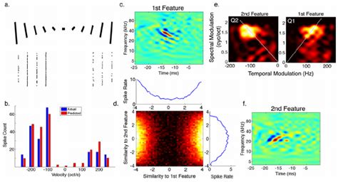Opponent Features For Spectral Motion Selectivity Download Scientific