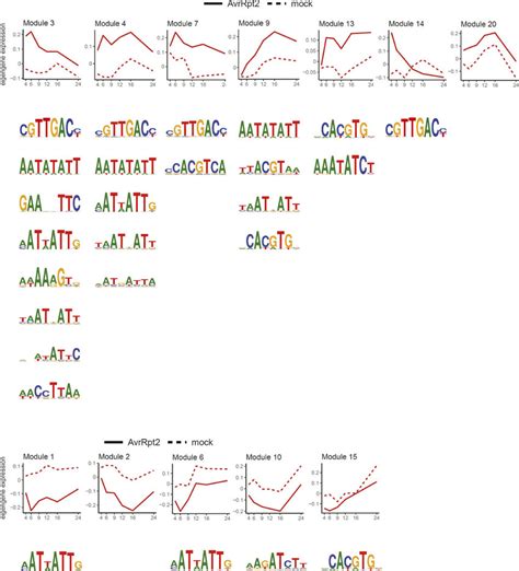 Expression Patterns Of Coexpression Modules Download Scientific Diagram