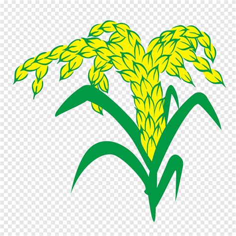 Euclidean Rice Vecteur Wheat Rice And Wheat Leaf Plant Stem Png Pngegg
