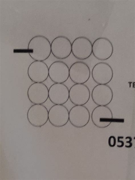 You Can Only Draw Vertically And Horizontaly How Can You Enter From One Point And Exit From