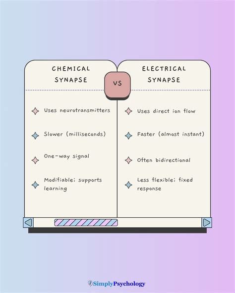 Chemical Vs Electrical Synapse