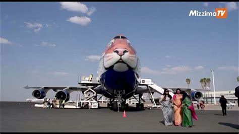 ပြည်တွင်းမှာမျိုးသုဉ်းသွားတာ နှစ်ပေါင်း ၇၀ ရှိပြီဖြစ်တဲ့ ကျားသစ်တွေ အိန္ဒိယကိုရောက်ရှိ Youtube