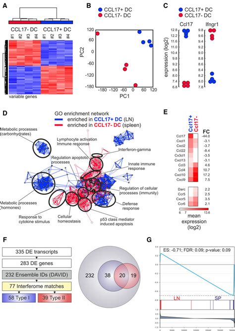 Expression Profiling Of Ccl17 − Splenic And Ccl17 Ln Dcs A