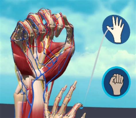 Medical Visualization Tu Wien Research Unit Of Computer Graphics