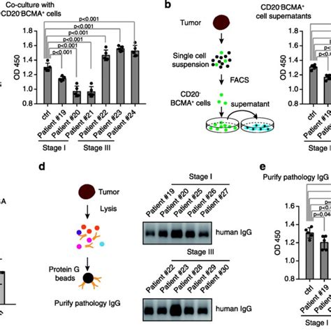 Single Cell Transcriptomic Analysis Reveals The Transcriptome Of Cells